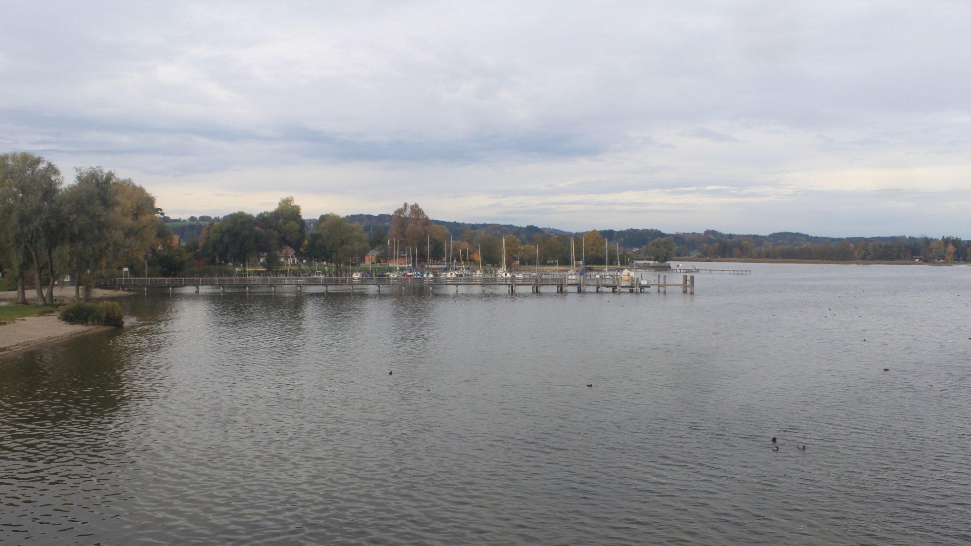 Chiemseepark-Bernau-Felden Fotowebcam